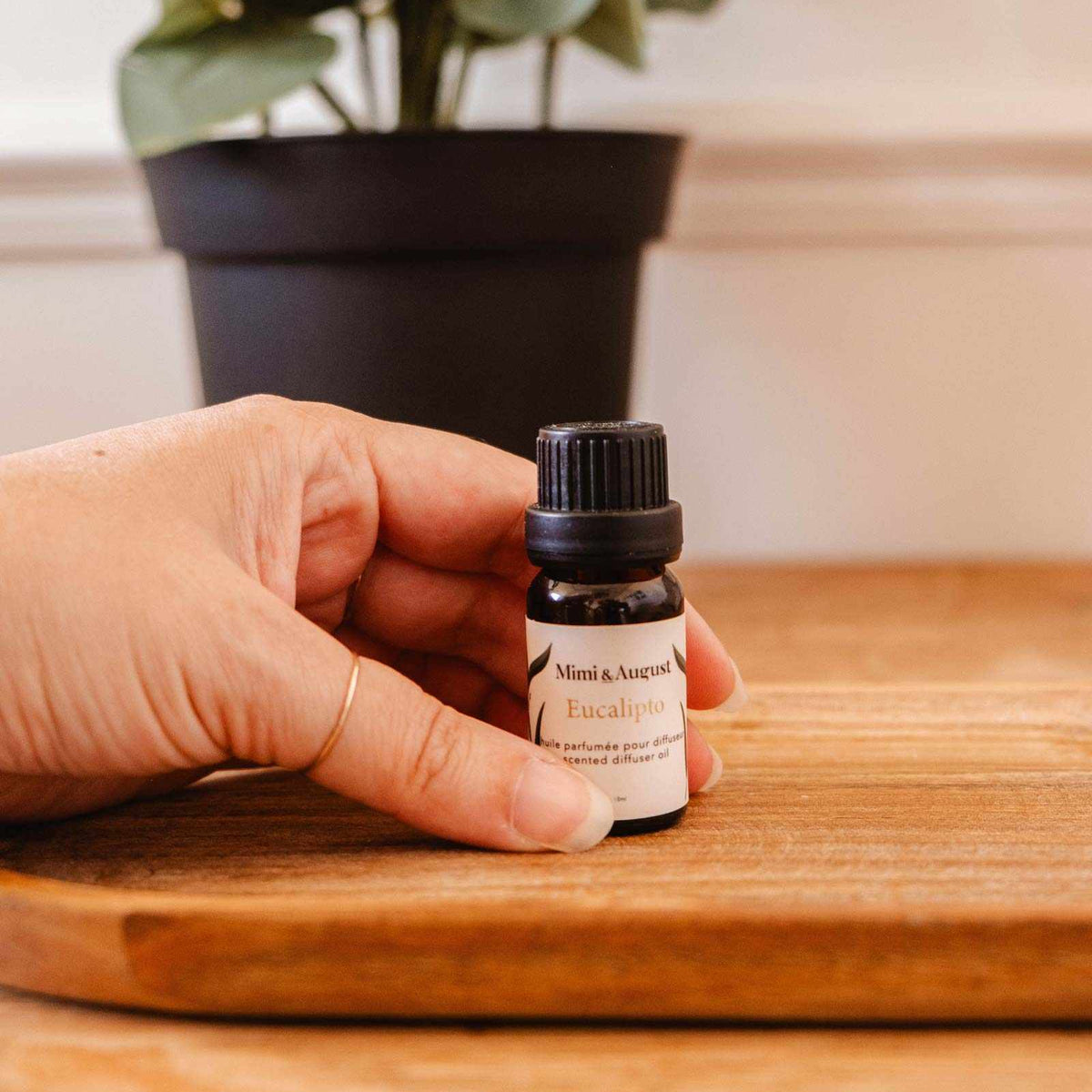 Eucalipto Scented Oil for Diffusers | Refresh Fragrance | Mimi & August