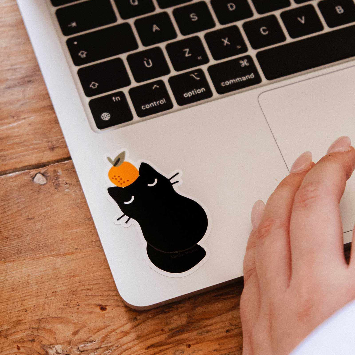 Clementine Cat Sticker – Cute Black Cat Vinyl | Mimi & August